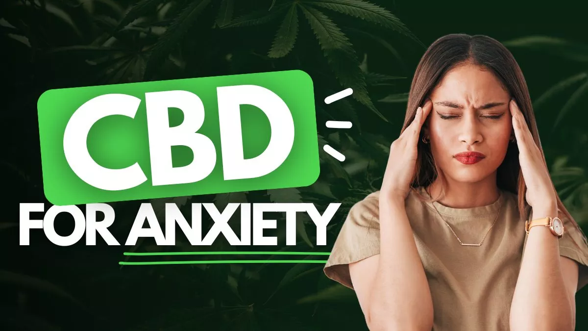 Best CBD for Anxiety in 2025: Oils & Gummies With Potent Anti-Anxiety ...