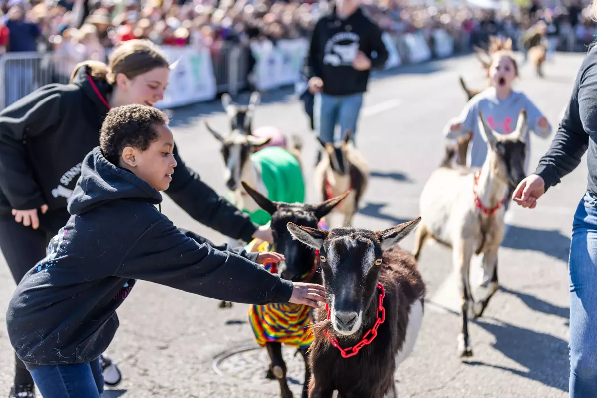 PHOTOS: Everything We Saw At Nulu Bock Fest 2024